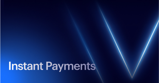Accept global Instant Payments with Pay By Bank | Volt